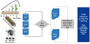 UAV Method Based on Multispectral Imaging for Field Phenotyping – Crop ...